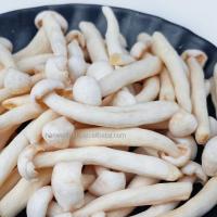 China Vacuum Fried White Jade Mushroom Snacks 1.5kg BRC Kosher Healthy Baked Vegetable Chips for sale