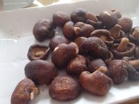 China Vacuum Fried Dried Mushroom Snack 4kg Bulk Healthy Vegetable Chips for Export for sale