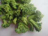 China Vacuum Fried Broccoli Snacks 5kg Bulk Healthy Dried Vegetable Crisps 12 Month Shelf Life for sale