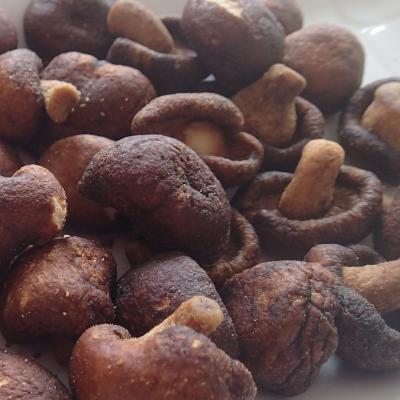 China Wholesale Dried Mini Mushroom Snack Vacuum Fried No Add Color 12 Months Shelf Life for sale