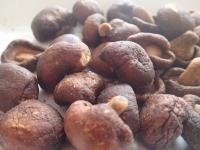 China Wholesale Dried Mini Mushroom Snack Vacuum Fried No Add Color 12 Months Shelf Life for sale