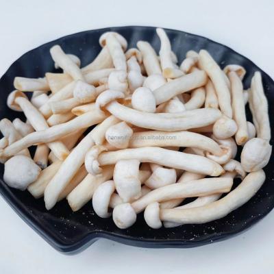 China Vacuum Fried Dried Mushroom 4kg Low Salt Organic Vegetable Snack BRC Kosher for sale