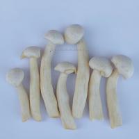 China Vacuum Fried Dried Mushroom 4kg Low Salt Organic Vegetable Snack BRC Kosher for sale