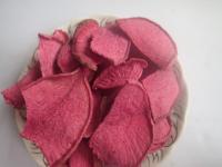 China VF Lyophilization Vegetables roasted sliced carrots Red Radish Chips Snacks for sale