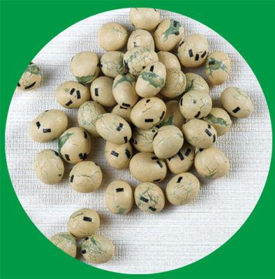 China Sugar Seaweed Coated Peanuts Crunchy Snack 5kg Bulk Pack for Children for sale
