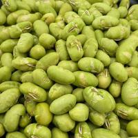 China High Protein Roasted Edamame Beans with Sea Salt - 12 Month Shelf Life, 2 Ton MOQ, BRC & KOSHER Certified for sale