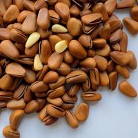 China Organic Pine Nuts with 12 Month Shelf Life - OU KOSHER Certified BRC Quality 2 Ton MOQ Available for sale