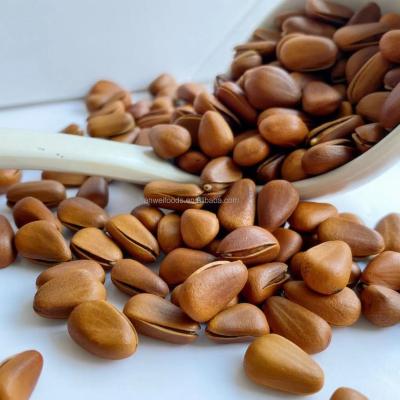 China BRC Certified Organic Roasted Pine Nuts - 12 Month Shelf Life, 2 Ton MOQ, Vegan Snack for sale