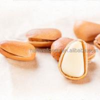 China Premium Big Grain Red Pine Nuts with Red-Brown Shells - BRC KOSHER Certified OEM Healthy Snack 30 Days Delivery for sale
