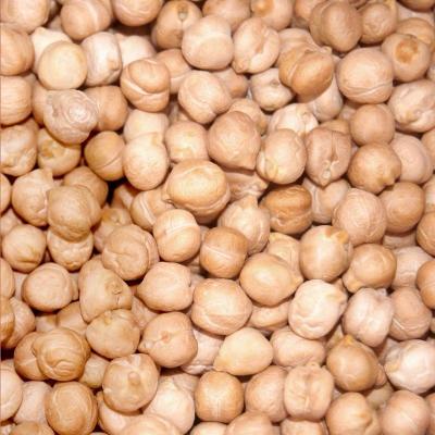 China Roasted Chickpeas Snacks 38% Protein Content 10kg Carton Bulk Packaged for Fitness and Healthy Diets for sale