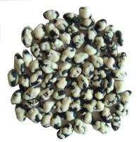 China Roasted Coated Black Soy Bean Snack 5kg Bulk Green Pea Flavor for sale
