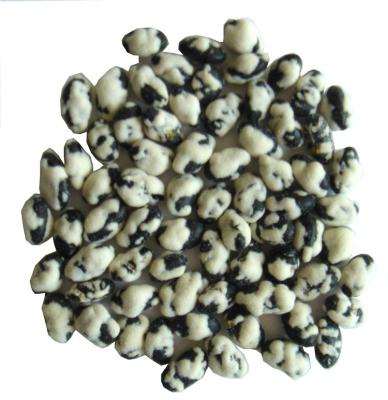 China Roasted Coated Black Soy Bean Snack 5kg Bulk Green Pea Flavor for sale