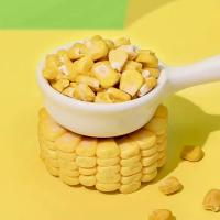 China Bulk Freeze Dried Sweet Corn Non GMO 100% Natural 5kg Bag for Cooking Snacking for sale