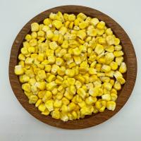 China Bulk Freeze Dried Corn Non GMO 10kg Loose Pack for Manufacturing Commercial Use for sale