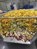 China Exotic Tropical Dried Fruit Mix with No Added Sugar and Four Premium Fruits in Vibrant Natural Colors for sale