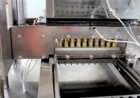 China Small Semi Automatic Scale Industries CANDY Depositor Machines For Soft Candy Bear for sale