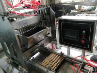China 1900x980x1700MM Fully Automatic Gummy Candy Depositor for Customer Requirements for sale
