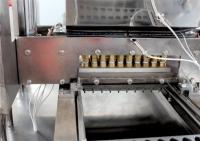 China 20-50kg/h Banana Pear Apple Gummy Machine Jelly Candy Making Machine for Depositing for sale