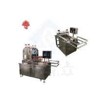 China Machinery Function Depositing Rings Gummy Making Machine for Jelly Candy Production for sale