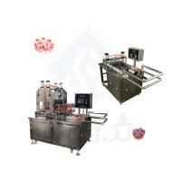 China 220V 3kw Commercial Pineapple Soft Candy Maker Gummy Candy Making Machine with Design for sale