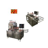 China 500kgs Capacity Rings Bear Pizza Gummy Candy Making Machine for Sugar-based Confectionery for sale