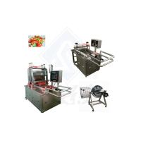 China Stainless Steel Multifunctional Machine for Producing Assorted Blueberry Gummy Candies for sale