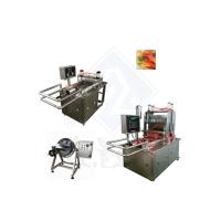 China Advanced Stainless Steel 3kw Pear Apple Pectin Gelatin Gummy Candy Making Machine for sale