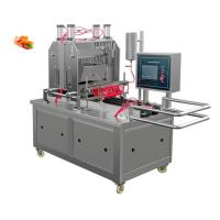 China 1900*900*1620mm Stainless Steel Industrial Sour Blueberry Candy Processing Equipment for sale