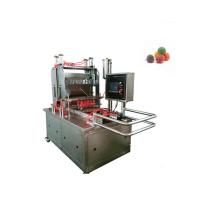 China Food Beverage Shops 50kgs/h Sweet Gelatin Gummy Candy Making Machine with 3kw Power for sale
