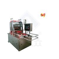 China 1900*900*1620mm Bear Leaves Candy Depositing Machine Gummy Candy Making Machine Multifunctional for sale