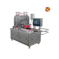 China Gummy Candy Depositing Machine With High Productivity For Large-Scale Production for sale