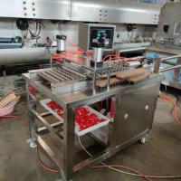 China Sancks Production Machine for Automatic Vending of Gummies Candy in 2024 CE for sale