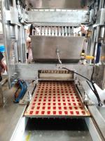 China High Productivity 2024 CE Vending Gummies Candy Production Machine for sale