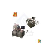 China 20-50kg/h Multifunctional Assorted Fruit Bean Gummies Depositer Jelly Gummy Candy Making Machine for sale