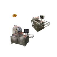 China Multifunctional Blueberry Gummies Line Bears Gummy Candy Depositing Machine for Retail for sale
