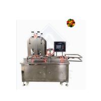 China Multifunctional Blueberry Gummies Line Bears Gummy Candy Depositing Machine for Retail for sale