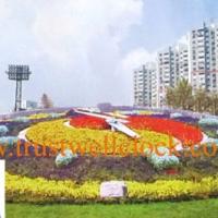China Floral Clock Movement 3m to 15m Diameter with Master Controller and Hands for Garden Clocks for sale