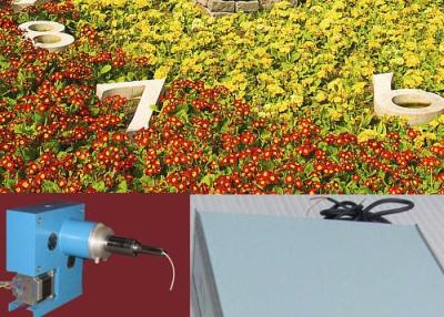 China Custom Floral Clocks 3m to 9m with High Torque Stepper Motor Movement for sale