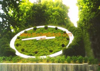 China High Torque Stepper Motor for Floral Clocks 10m to 60m Diameter Weatherproof for sale