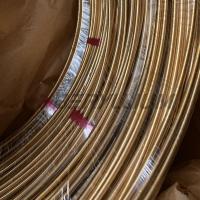 China Non-Ferrous Metals And Alloys Beryllium Bronze Wire BrB2 Wire Soft Wire Hard Wire for sale