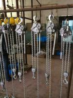China Magnesium Aluminum Alloy Chain Lever Hoist 7.5KN 15KN 30KN 40KN 60KN for sale