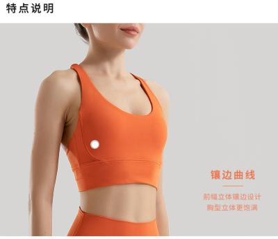 China Double-Sided Brushed Cross Back Sports Bra Shockproof Push Up Yoga Fitness Vest for Women for sale