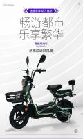 China 500W Two Person Electric Bicycle with Remote Key Lead Acid Battery 275mm Tires for sale
