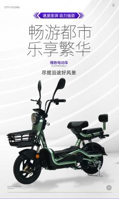 China 500W Two Person Electric Bicycle with Remote Key Lead Acid Battery 275mm Tires for sale