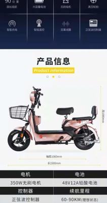 China 350W Electric Bicycle 48V Lead Acid Battery Two Wheeled E Bike for Export for sale