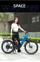 China Electric Mountain Bike Adult Retro Off-Road 21 Speed Booster E-Bike with Shimano System for sale