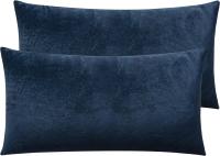China NTBAY 2 Pack Velvet King Pillowcases 20x36 Inches Soft Zippered Flannel Pillow Cases for sale