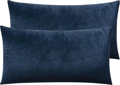 China NTBAY 2 Pack Velvet King Pillowcases 20x36 Inches Soft Zippered Flannel Pillow Cases for sale