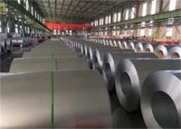 China Z100 Prepainted Galvanized Steel Coil PPGI 0.5mm Electro Galvanized Coil for sale