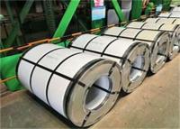 China CGCC Prepainted Galvanized Steel Coil Ppgi 30g Zinc Coating White for sale